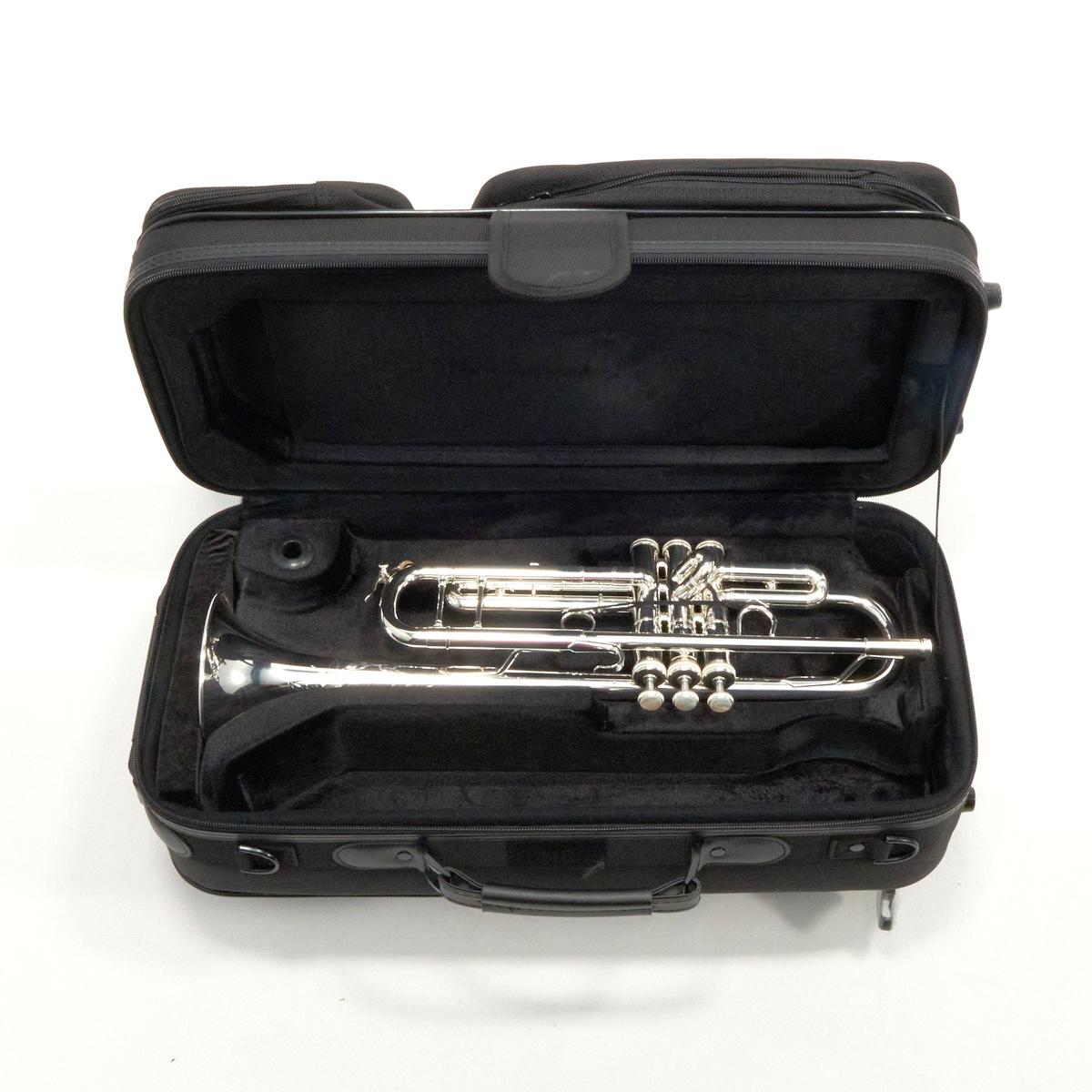 S.E. Shires Model Q10S Q-Series Professional Bb Trumpet BRAND NEW – The ...