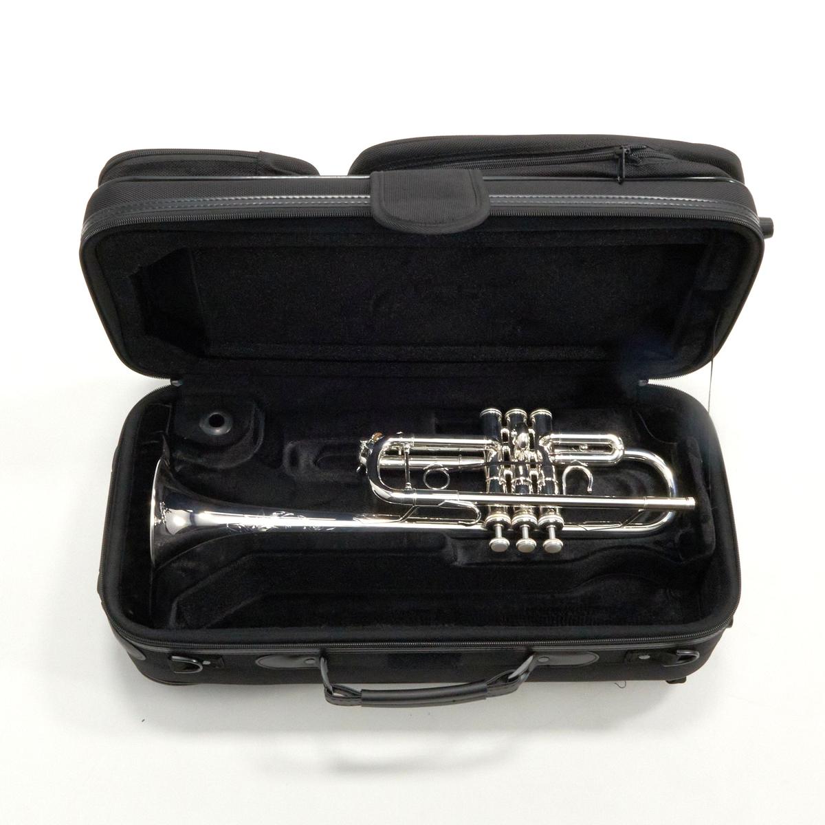 S.E. Shires Model Q11RS Q-Series Professional C Trumpet BRAND NEW – The ...